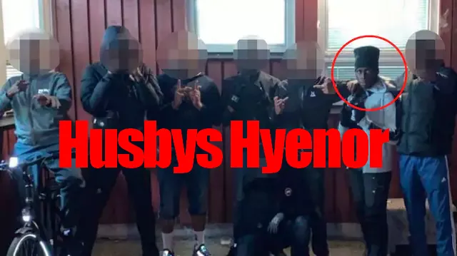 Gängen i Stockholm - Husbys Hyenor | Krimfup.se